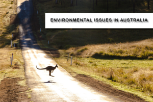 Environmental Issues in Australia in 2023 With Examples