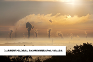 List Of Global Environmental Issues in 2023 and Their Examples
